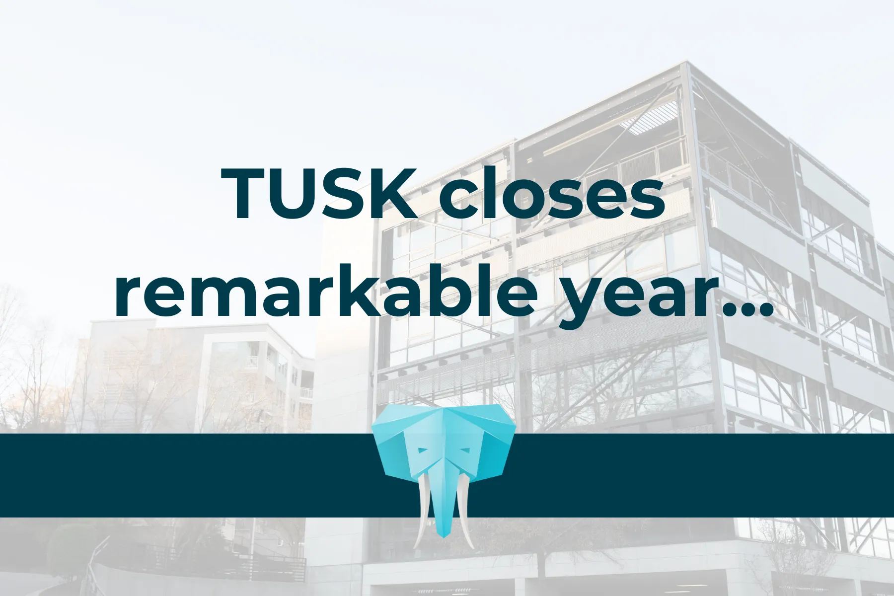 TUSK Partners Closes a Remarkable Year of Change, Growth and Client ...